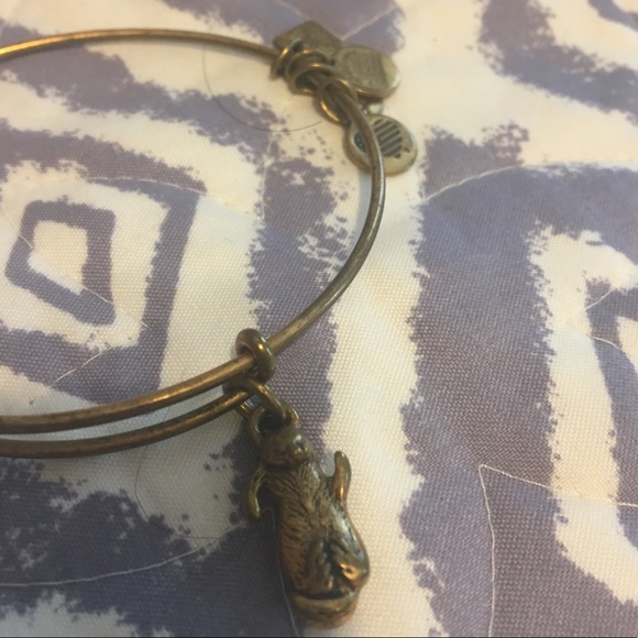Alex and Ani | Jewelry | Alex And Ani Otter | Poshmark